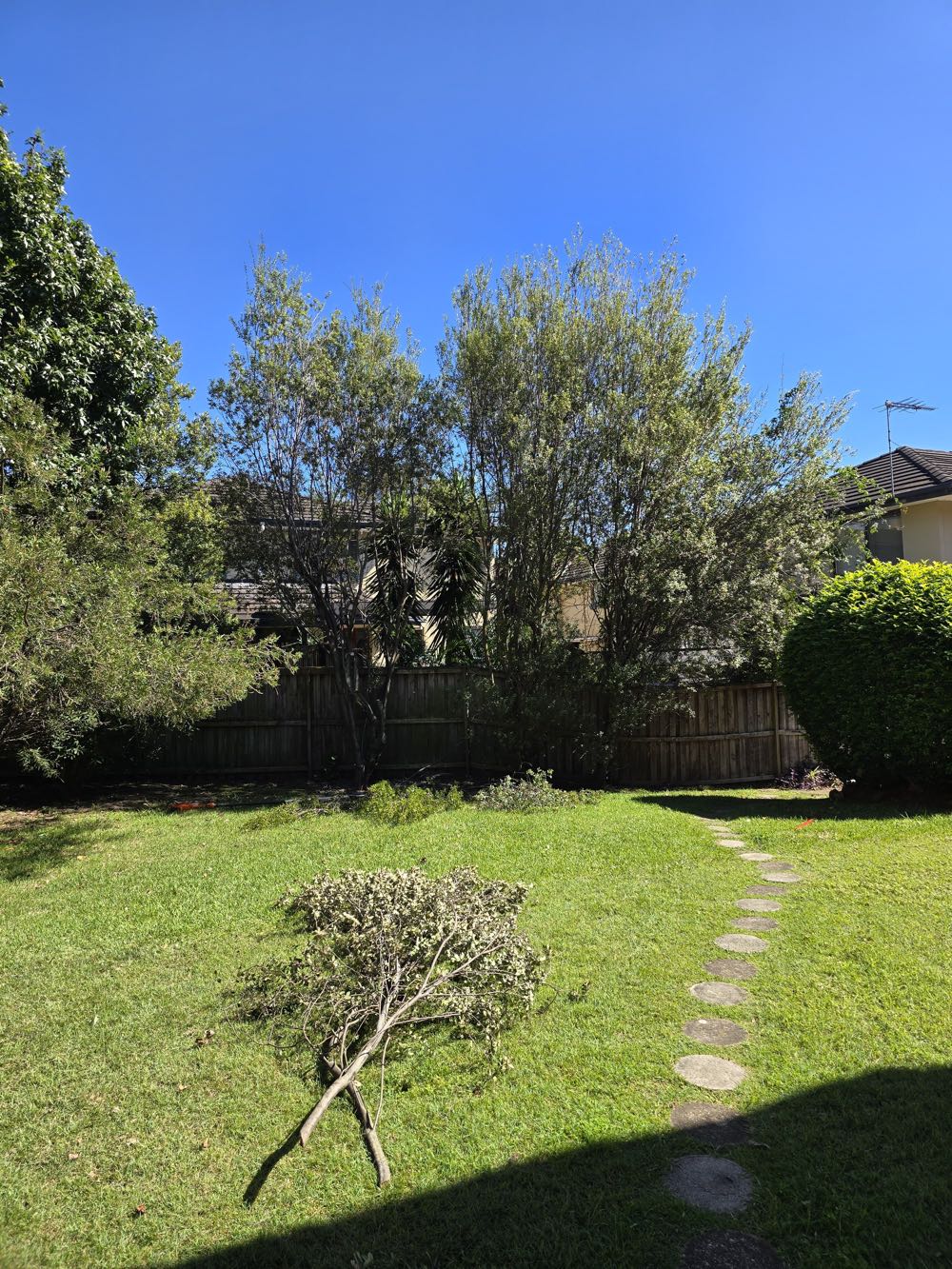 Tree Removal - ASET Tree Removal ☎️ 0425 455 321